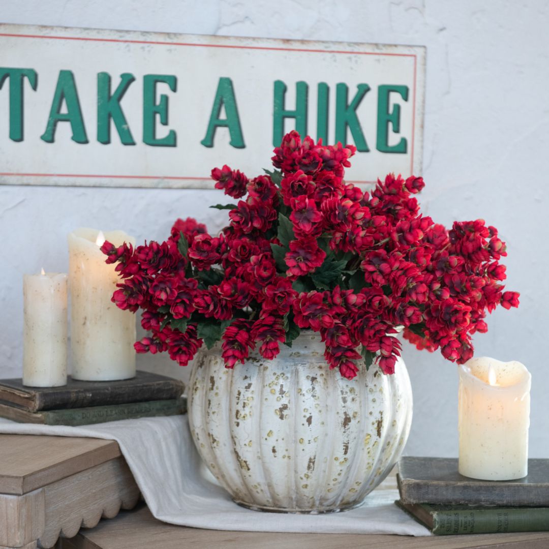 16" Red Hops Bush – Cozy Cottage