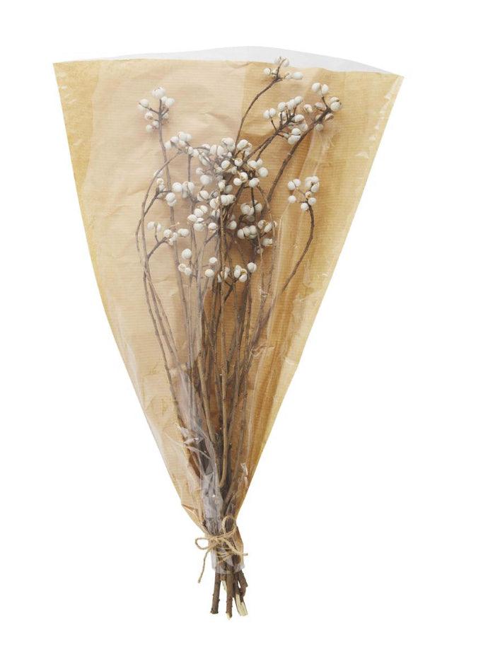 Tallow Berry Bundle – Cozy Cottage